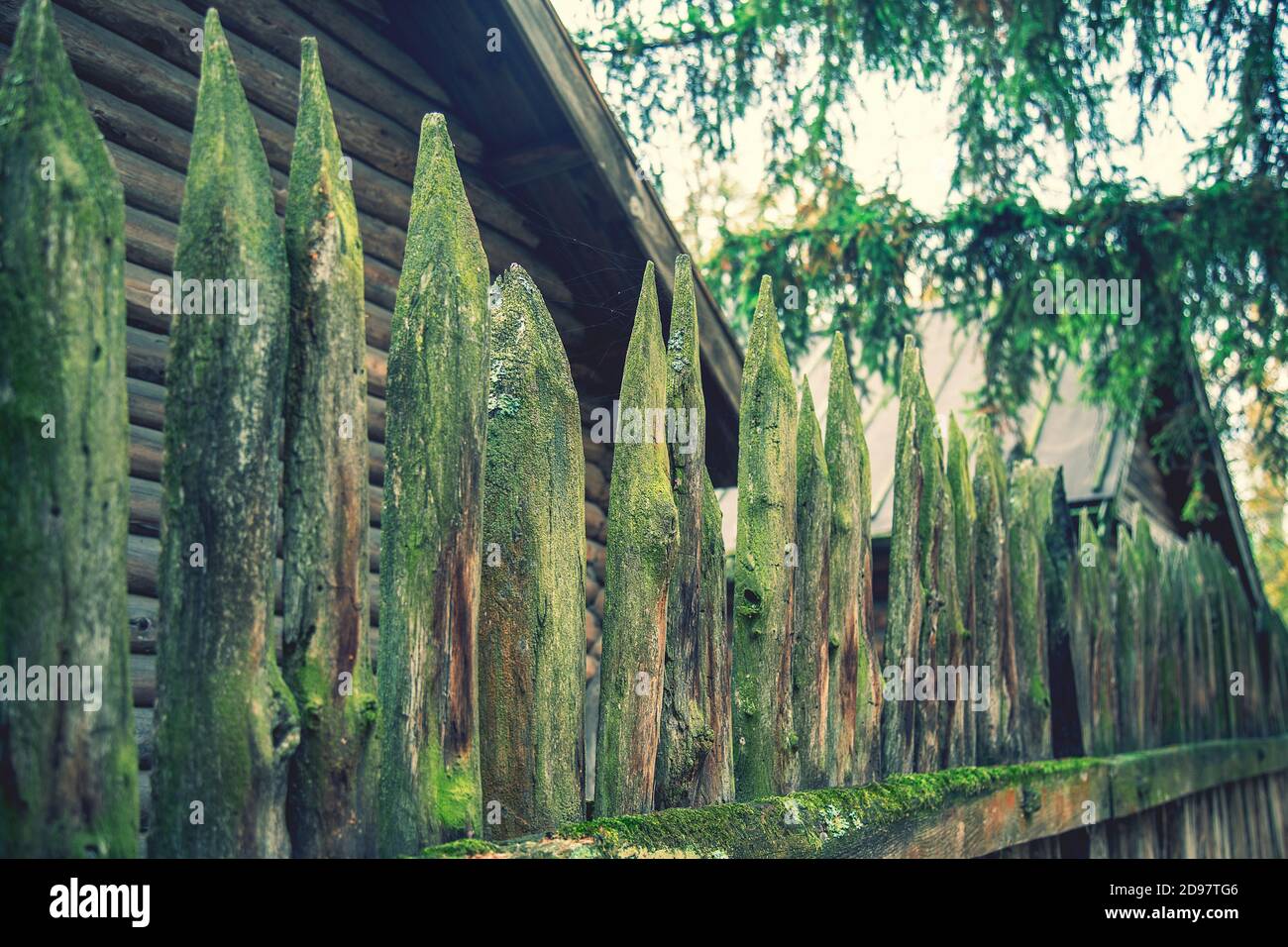 ancient style wooden wall Palisade. High wooden antique palisade. Fence ...
