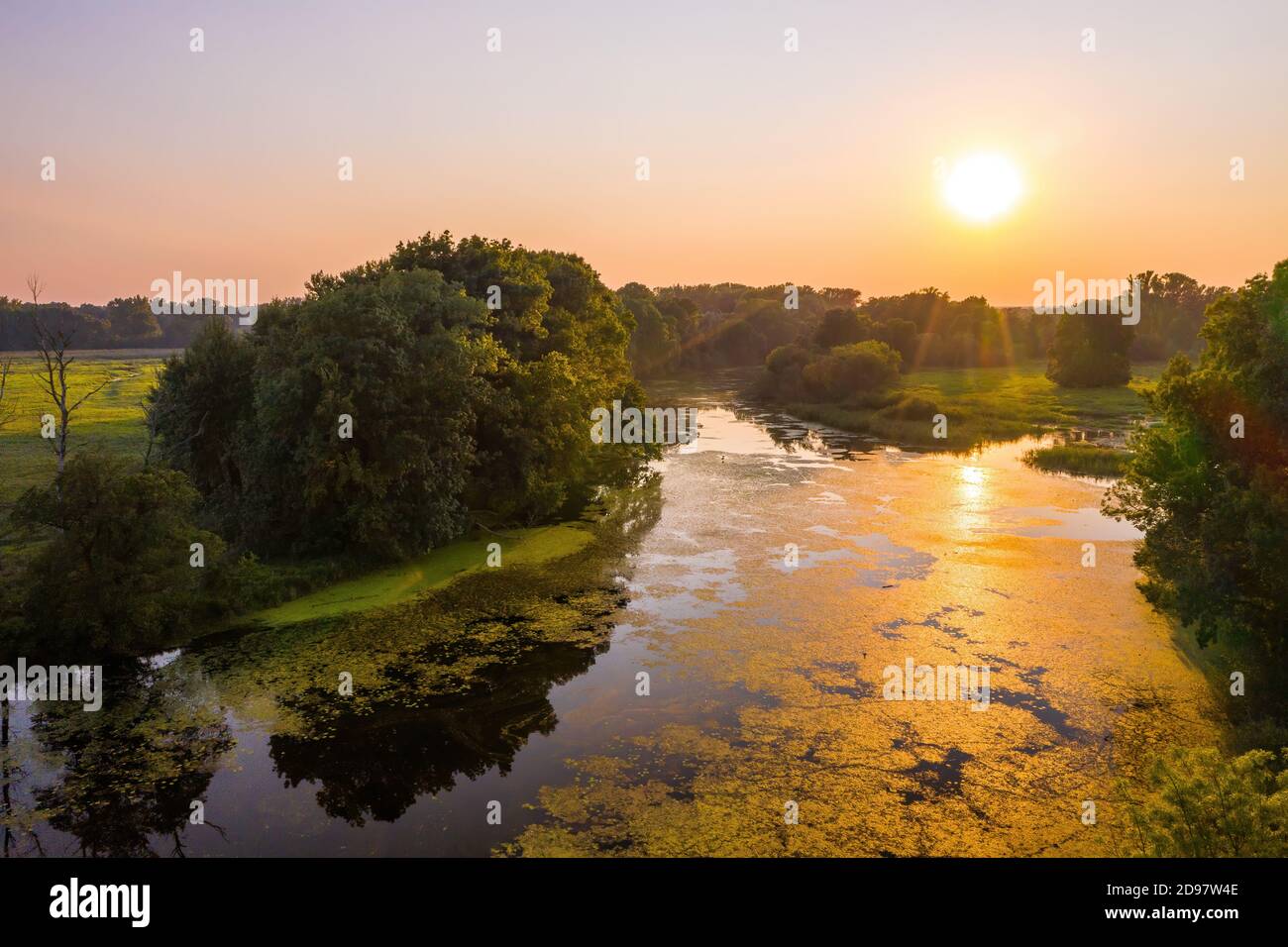 Sun setting over a river and trees in summer nature Stock Photo - Alamy