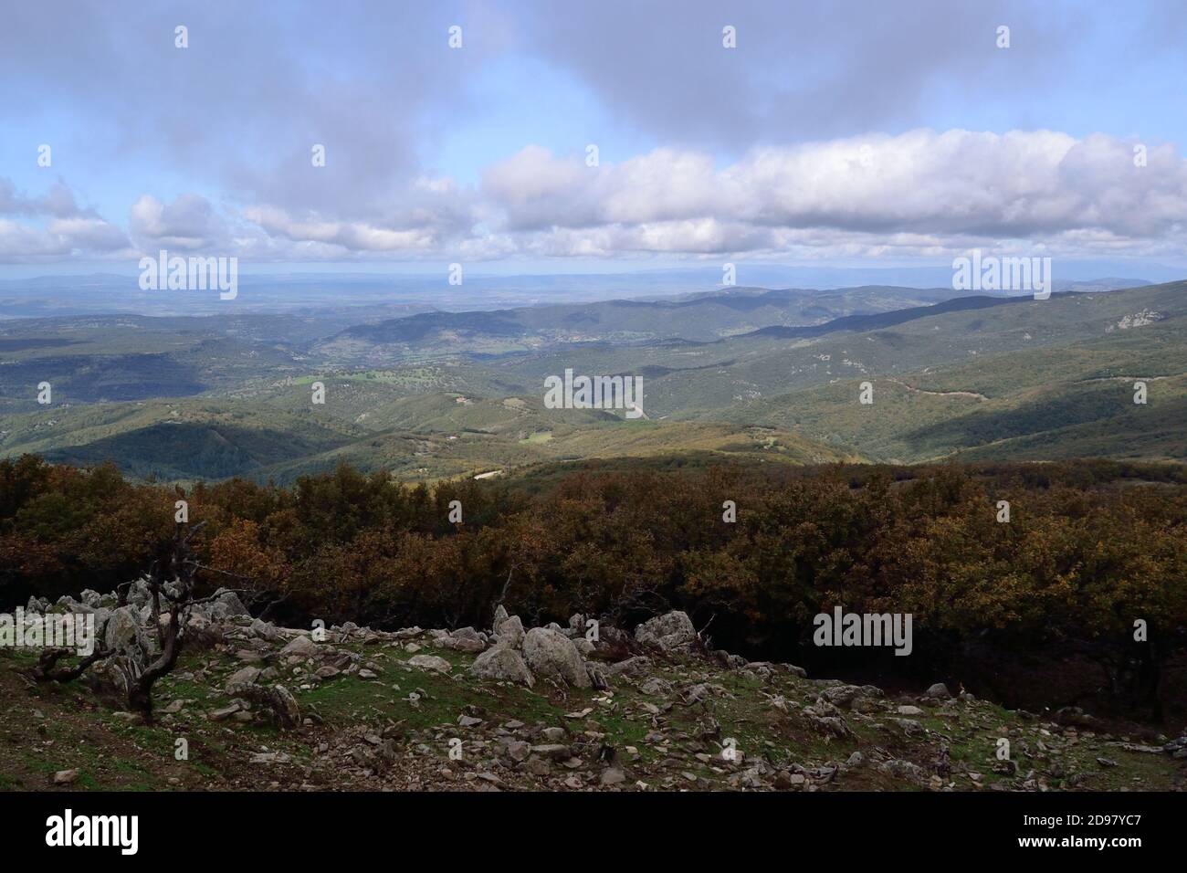 Rasu hi-res stock photography and images - Alamy