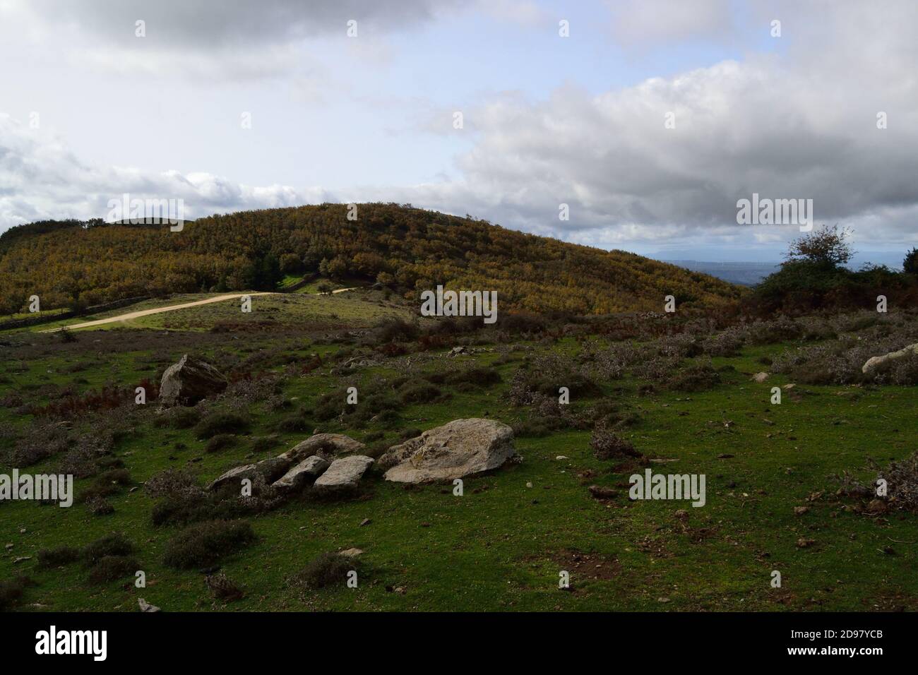 Rasu hi-res stock photography and images - Alamy