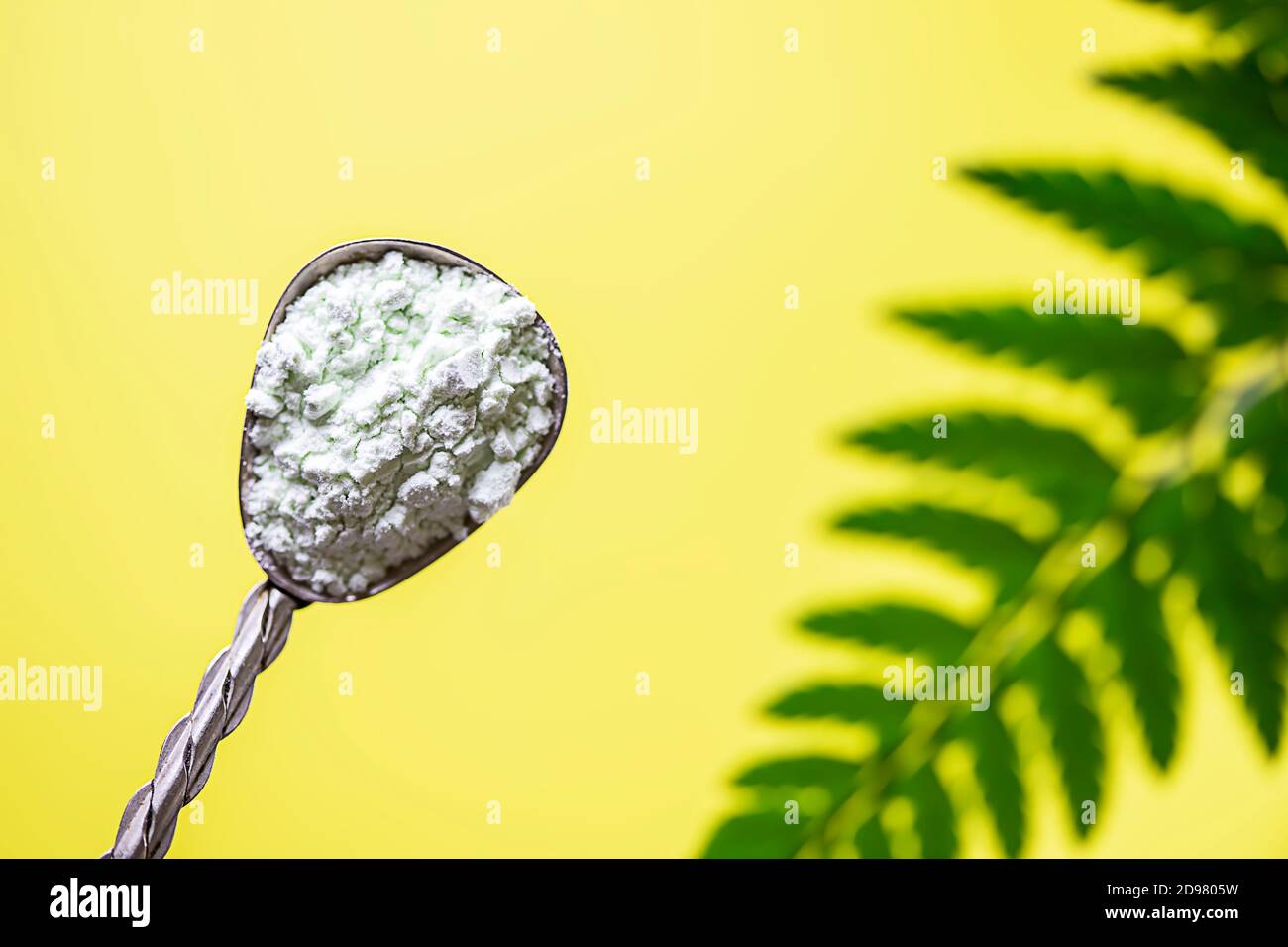 Collagen powder in a spoon and fern leaves on a bright yellow ...