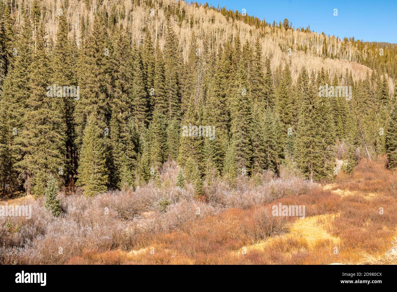 Colorado wilderness, autumn landscape Stock Photo - Alamy