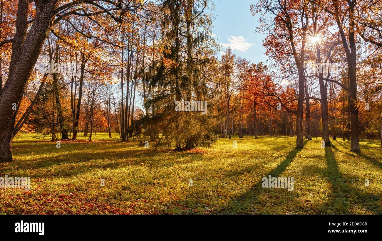 Long shadows at sunset hi-res stock photography and images - Alamy