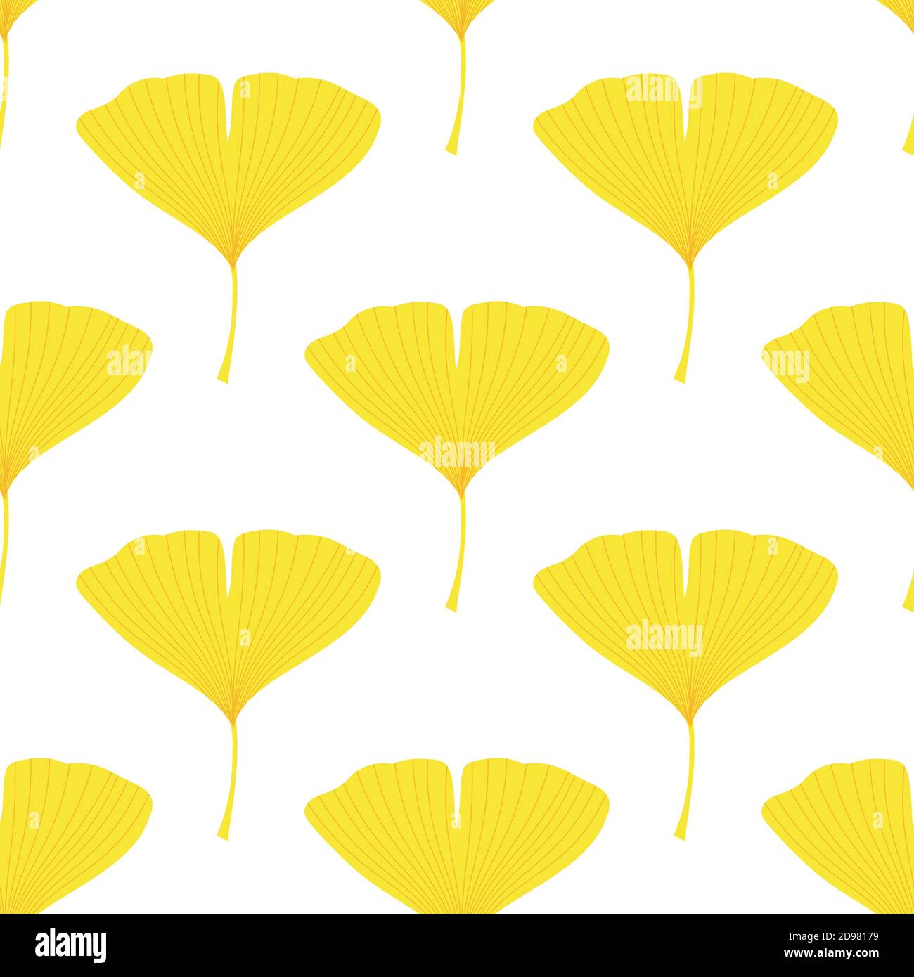 Ginkgo biloba tree fall color Stock Vector Images - Alamy