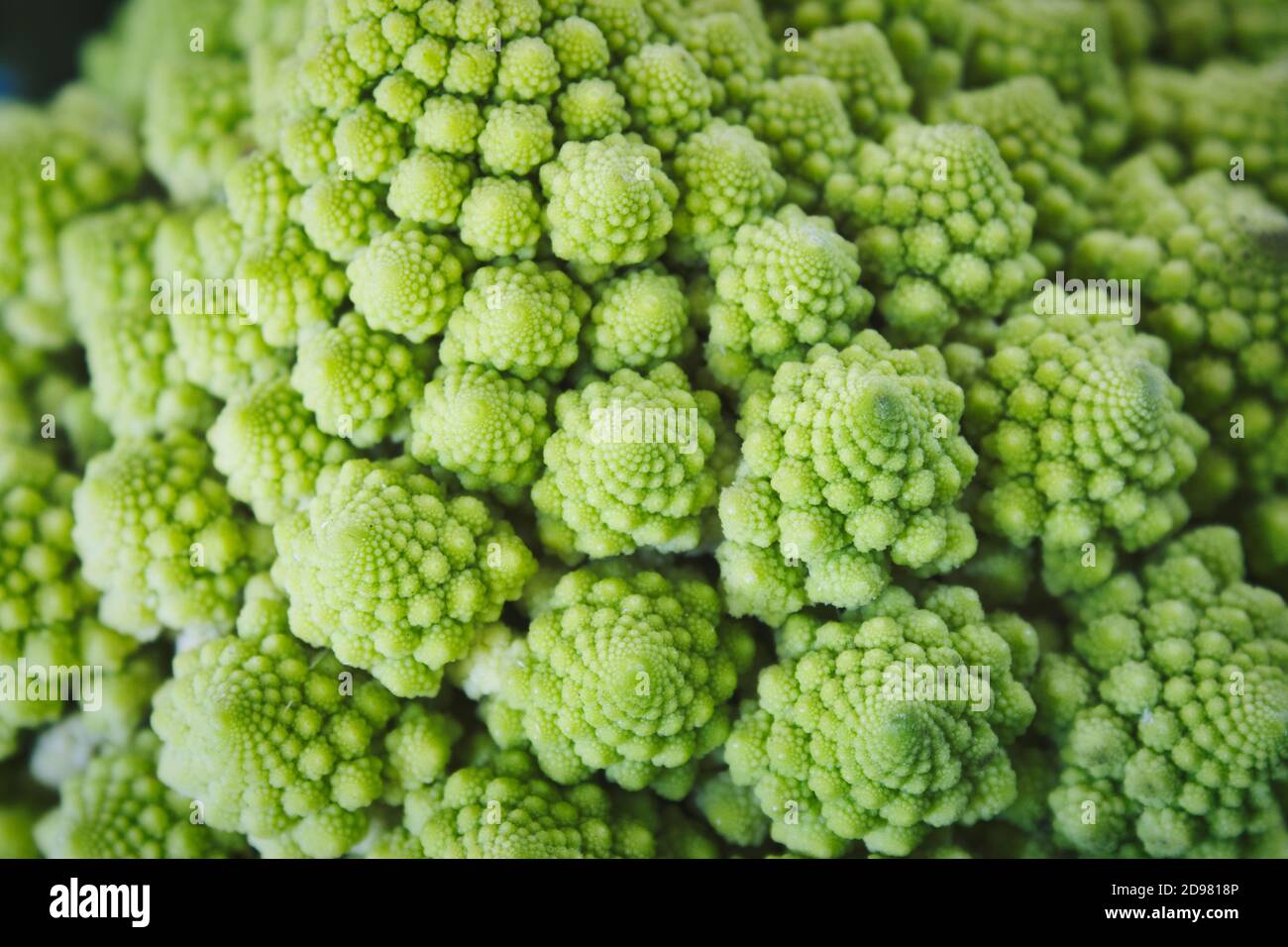 Romanesque broccoli hi-res stock photography and images - Alamy