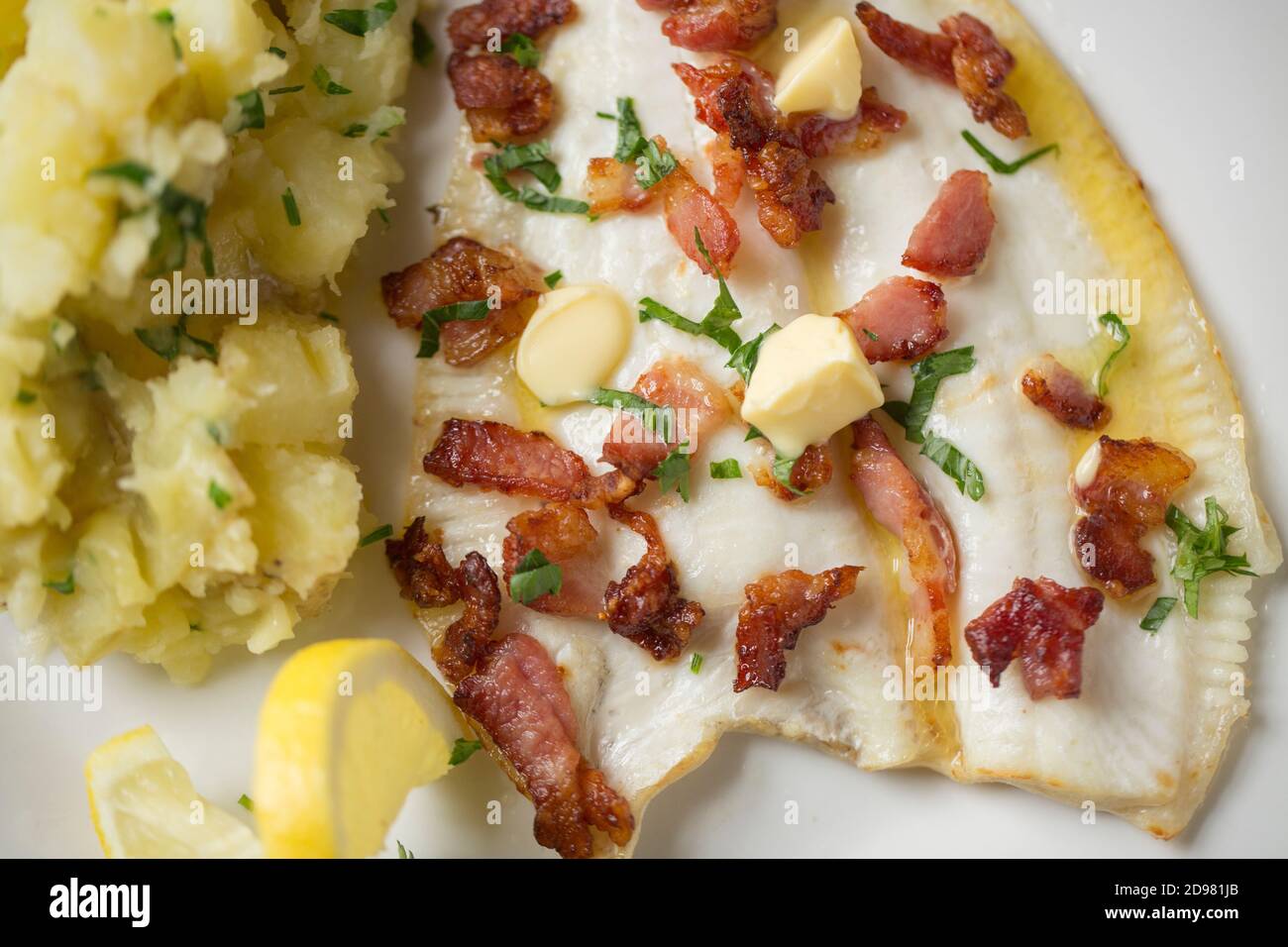 P platessa hi-res stock photography and images - Alamy