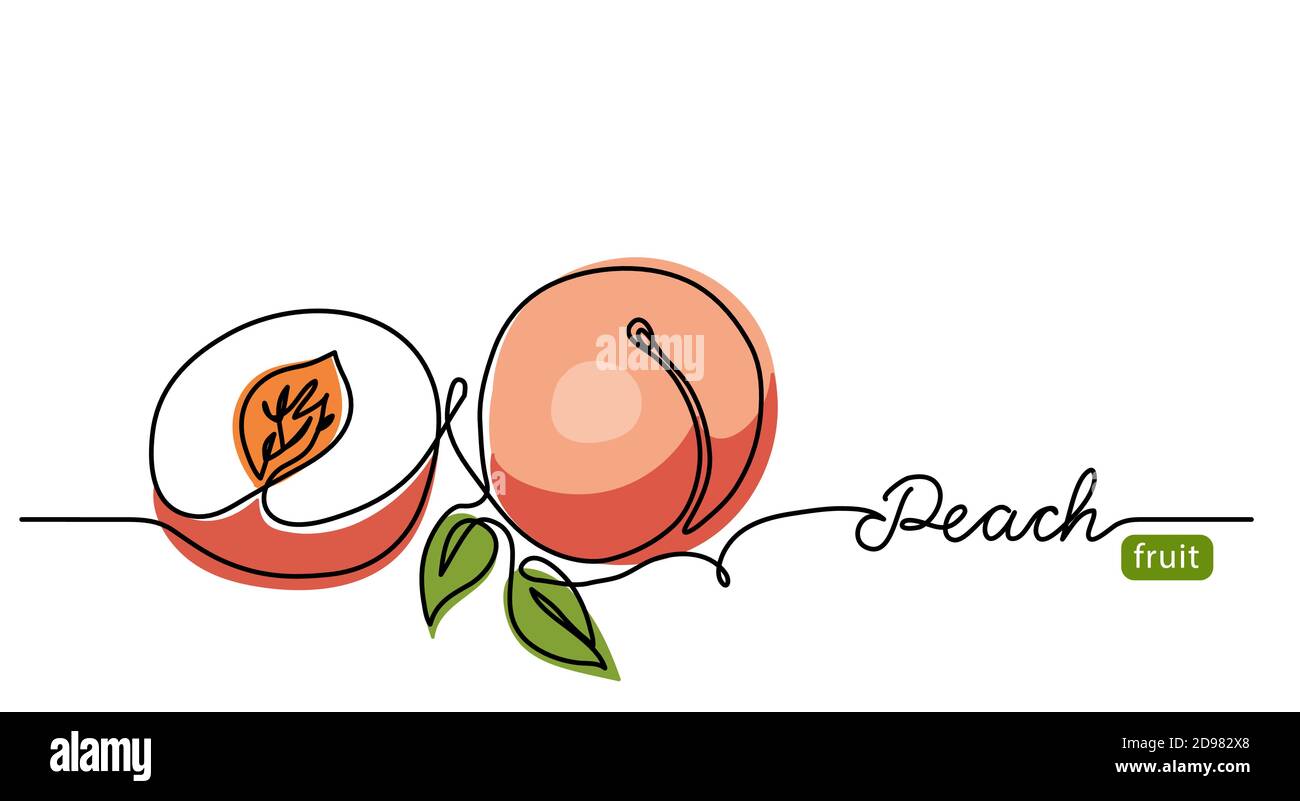 Peach simple vector illustration. One continuous line drawing art ...