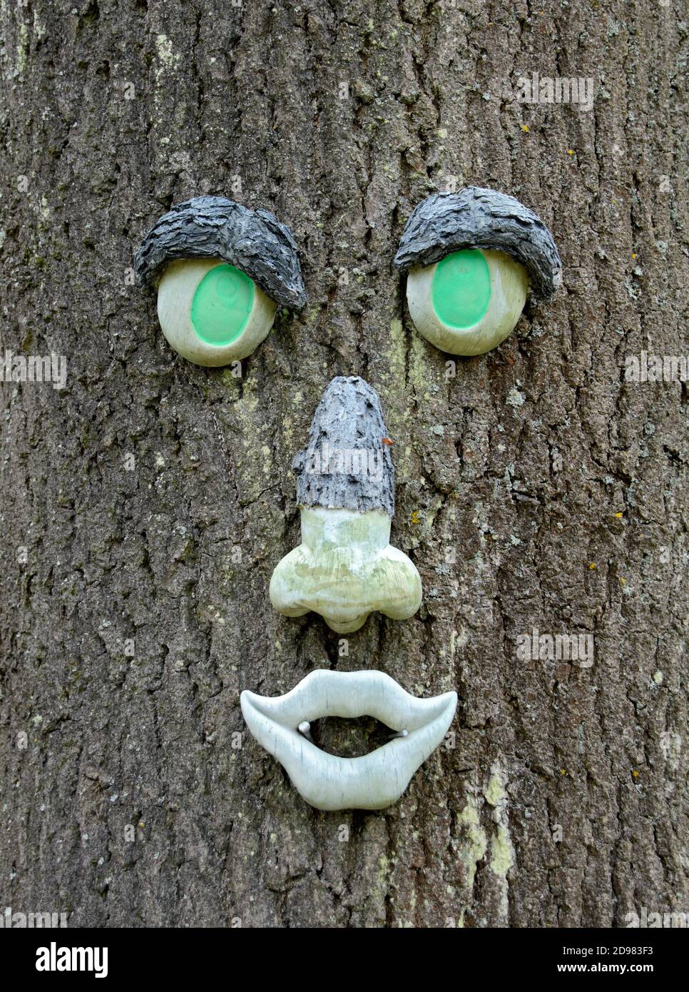 Tree bark face hi-res stock photography and images - Alamy