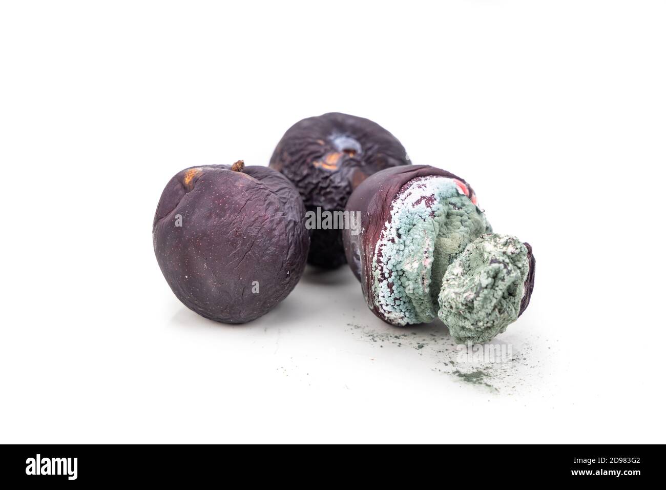 Moldy Fruit