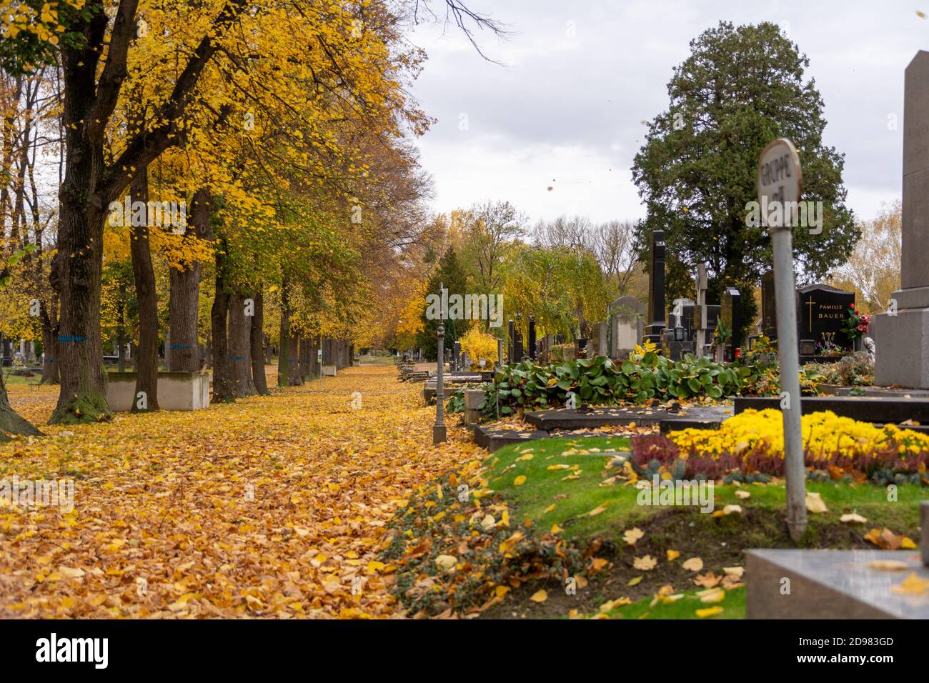 Image of the Vienna Central Cemetery. The Vienna Central Cemetery is ...