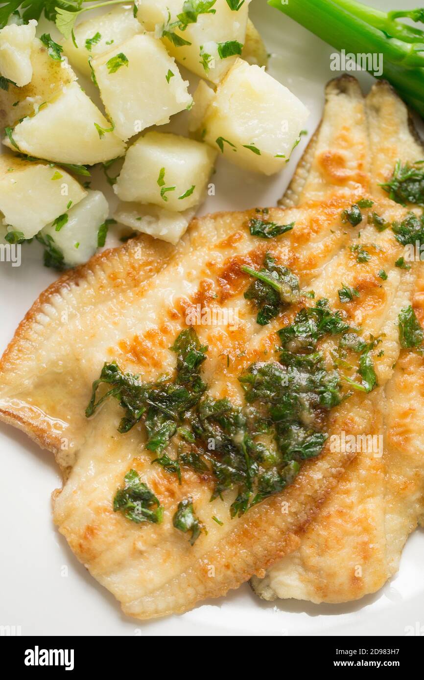 Plaice Fillets High Resolution Stock Photography and Images - Alamy