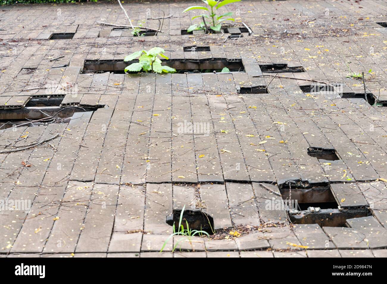 Broken wood plank hi-res stock photography and images - Alamy