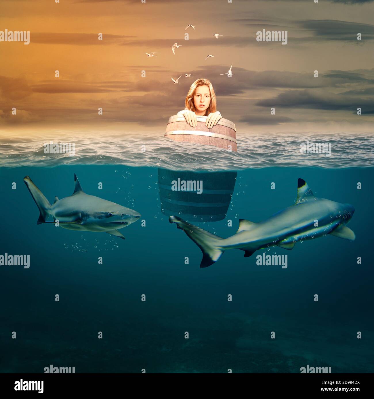woman floating in a barrel surrounded by sharks Stock Photo - Alamy