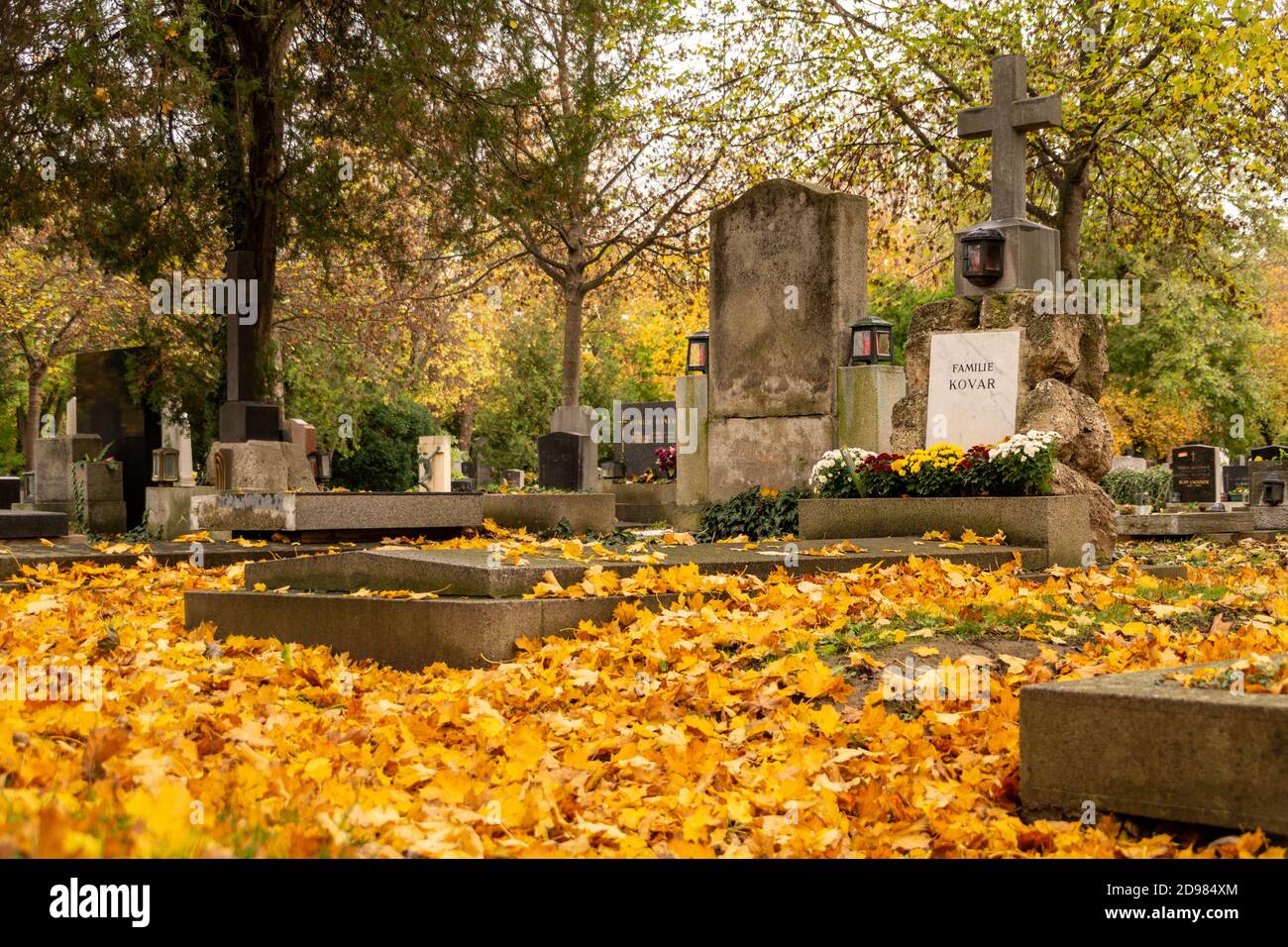 Image of the Vienna Central Cemetery. The Vienna Central Cemetery is ...