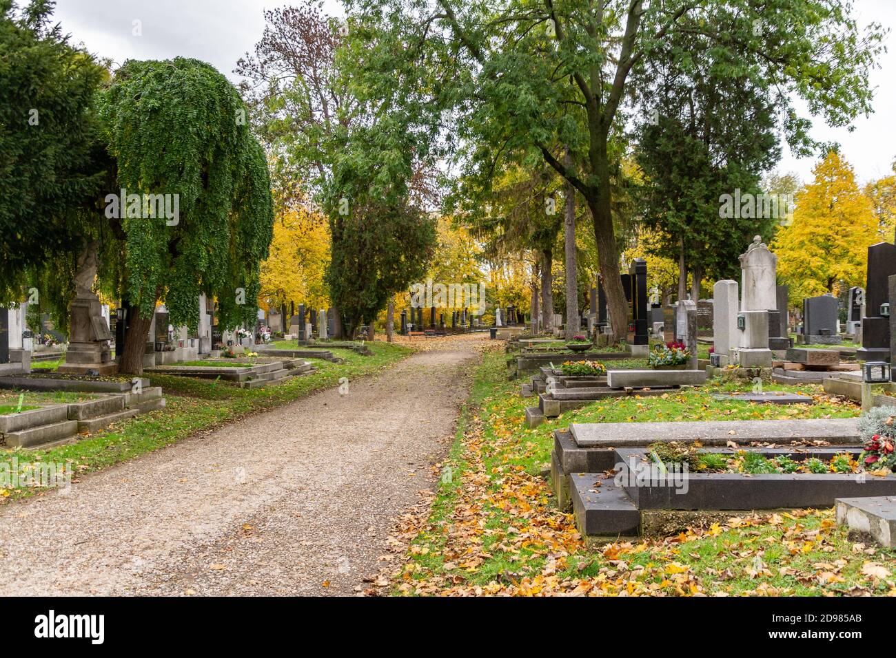 Image of the Vienna Central Cemetery. The Vienna Central Cemetery is ...