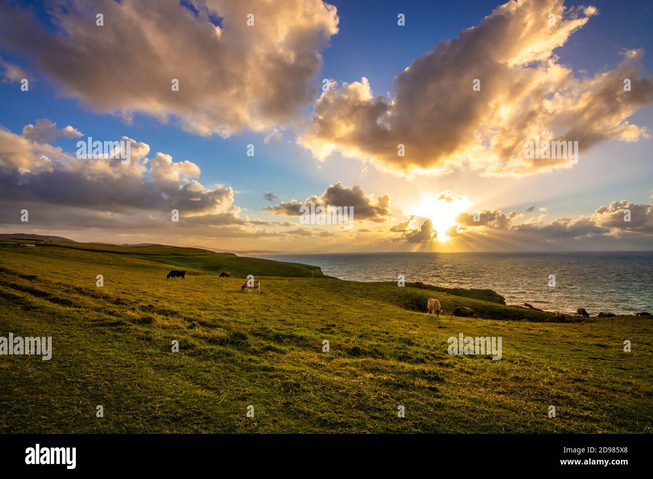 Space hdri hi-res stock photography and images - Alamy