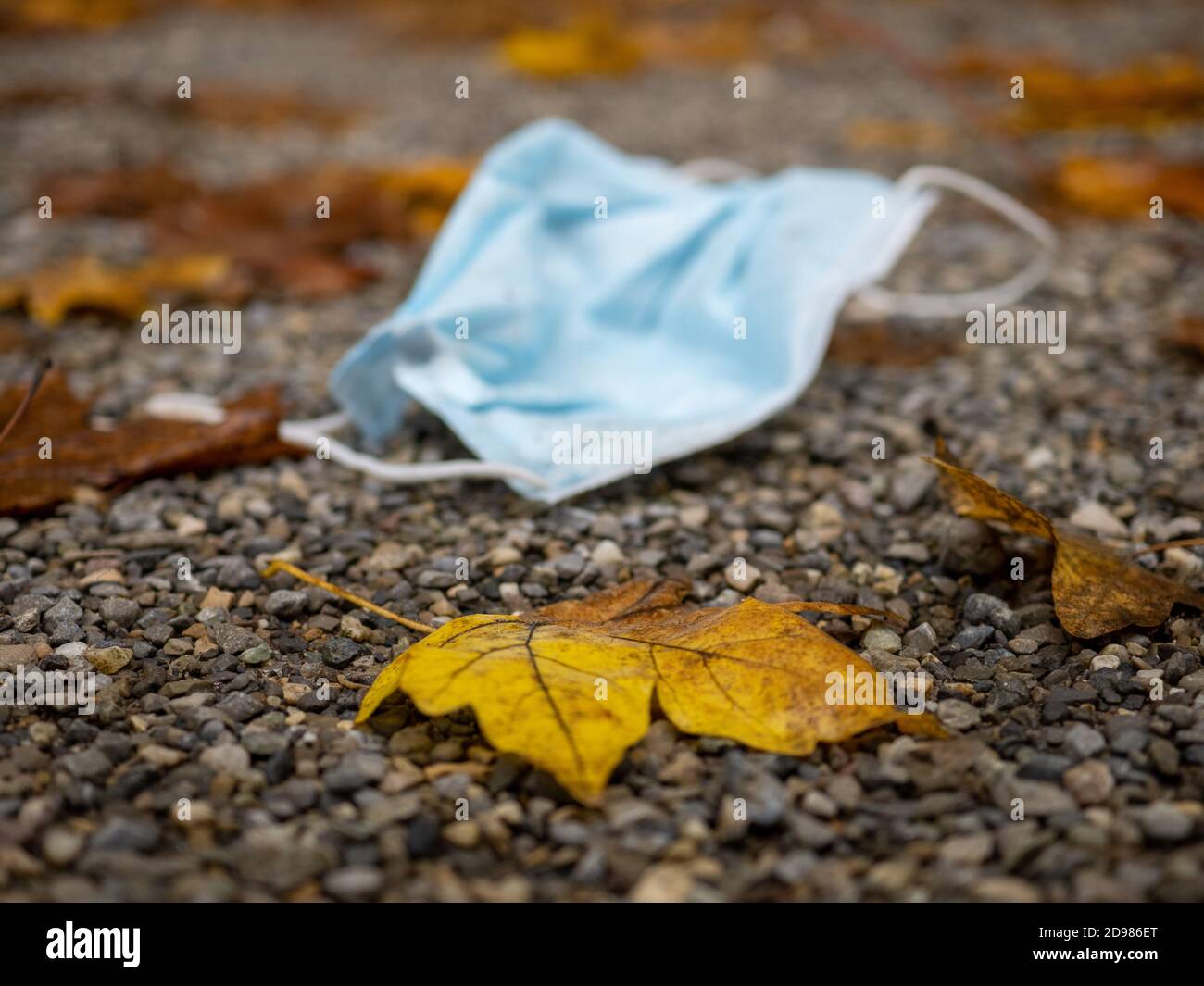 The fall of the mask during autumn Stock Photo - Alamy