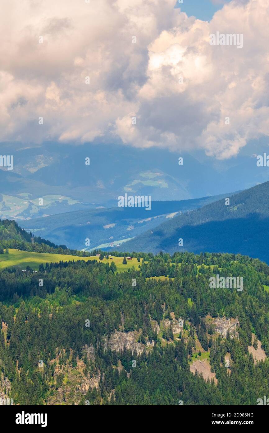 Woodland side view with sky hi-res stock photography and images - Alamy
