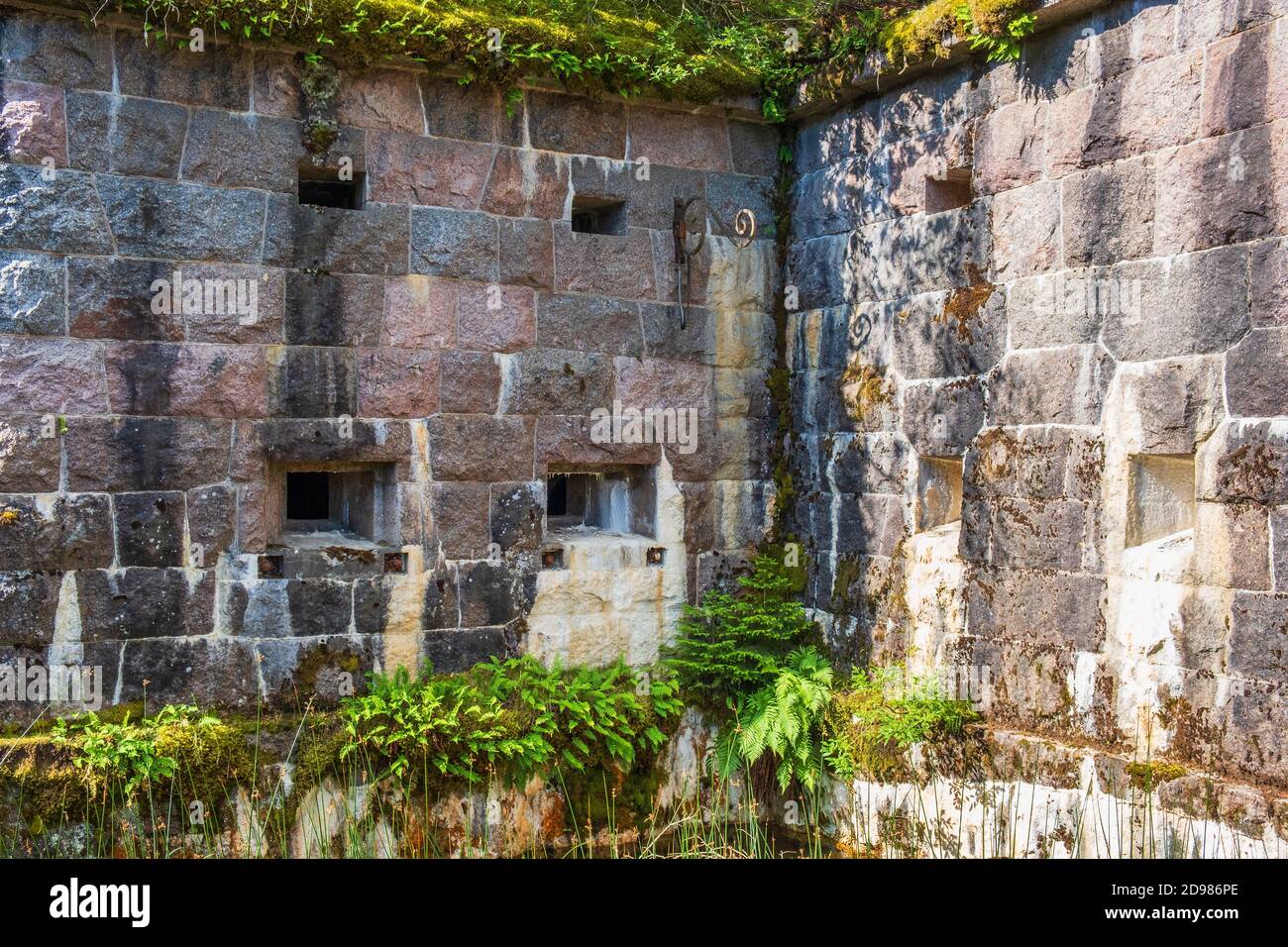 Old fortified wall in moat with green plants Stock Photo - Alamy