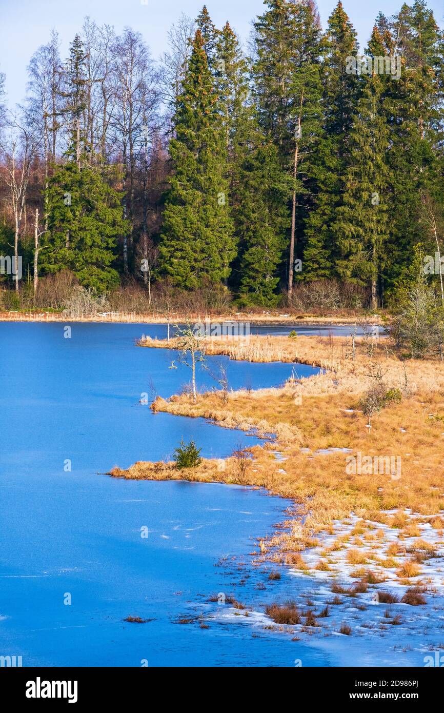 Bog at winter hi-res stock photography and images - Alamy