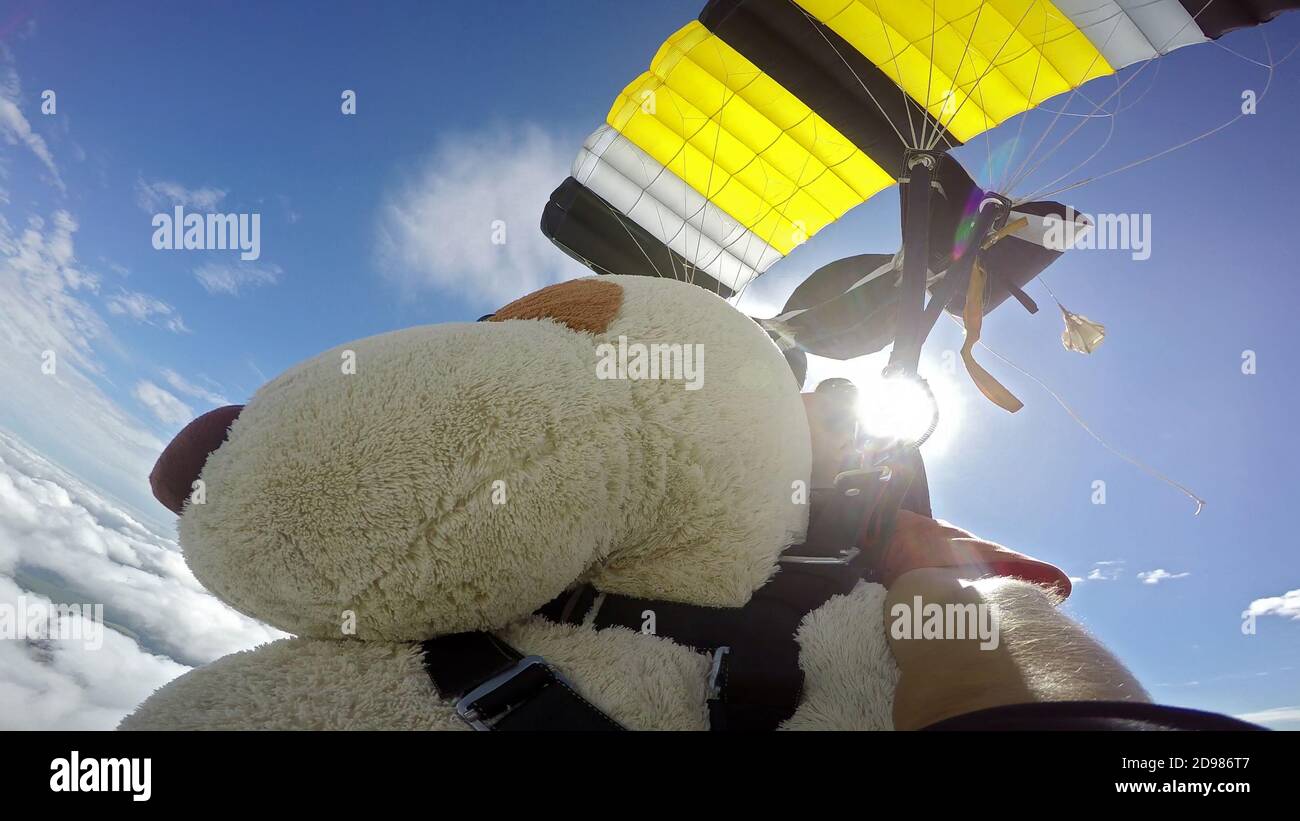 Skydiving Teddy Bear extreme sports Stock Photo - Alamy