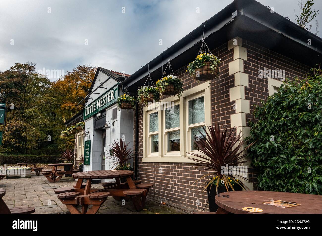 Little Mester pub in Dinnington, England Stock Photo - Alamy