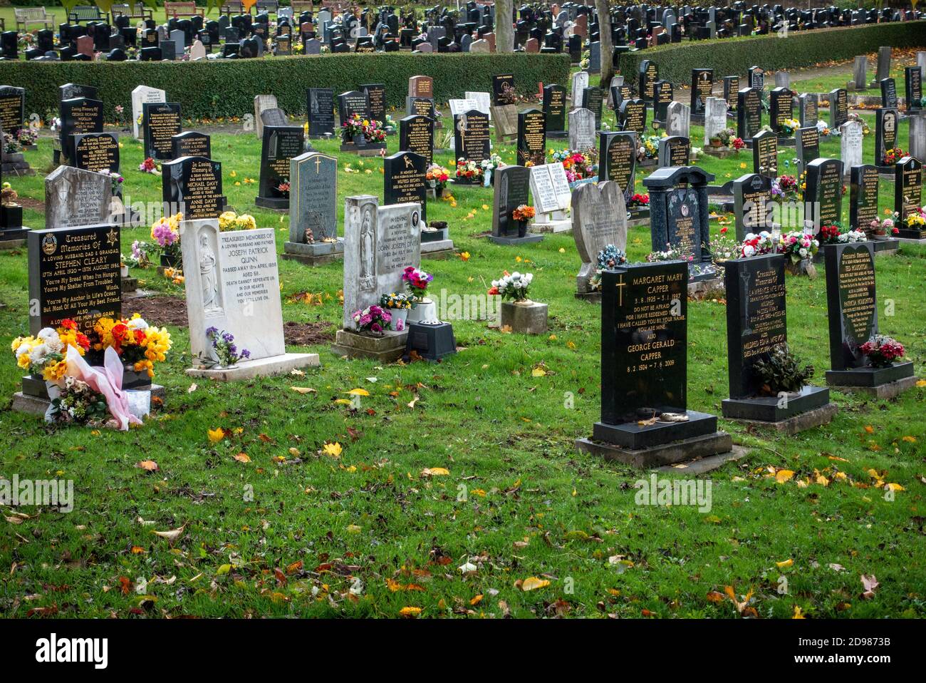rows of headstones in a cemetery Stock Photo - Alamy