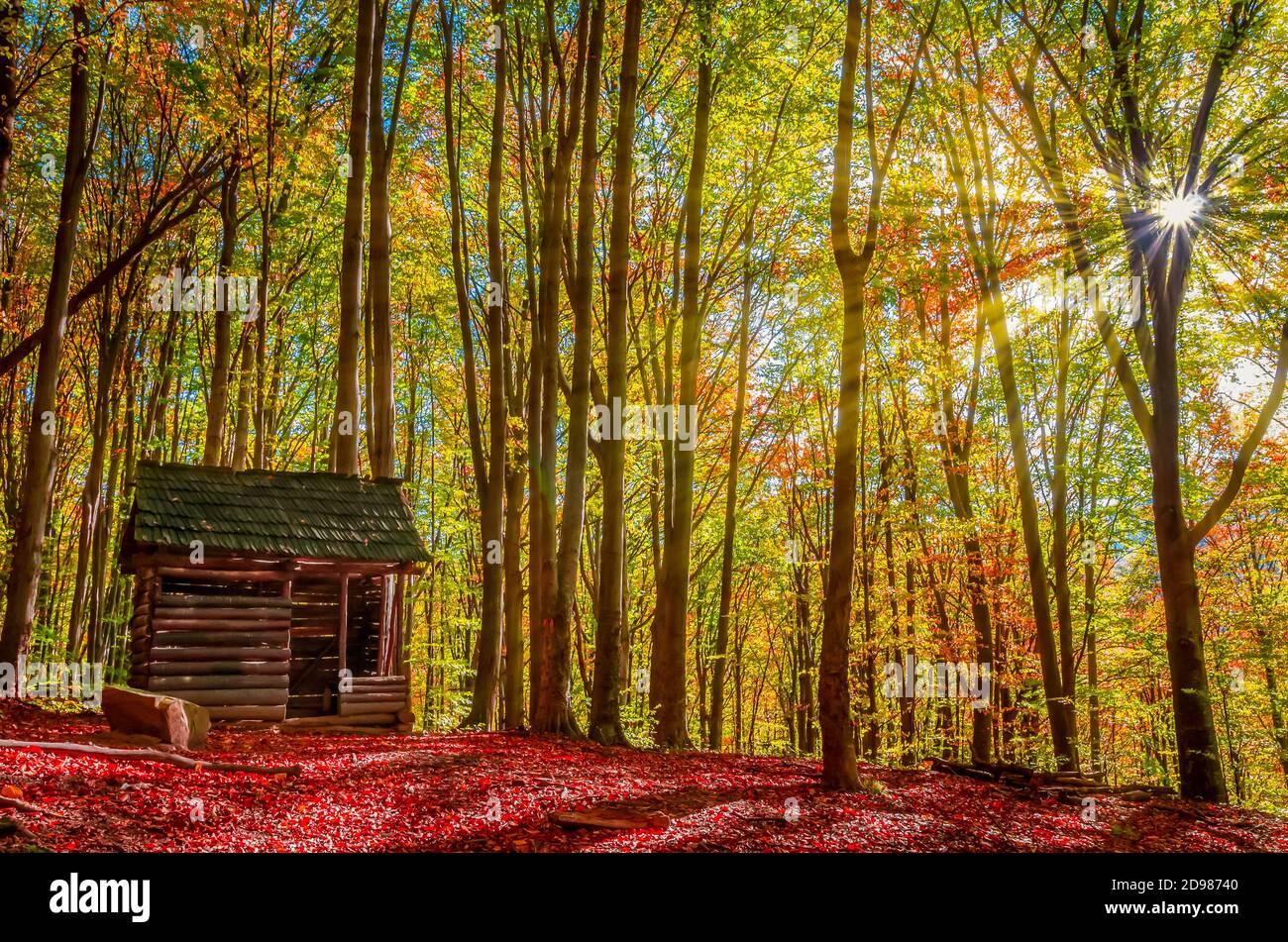 Old cabin in fall color hi-res stock photography and images - Alamy