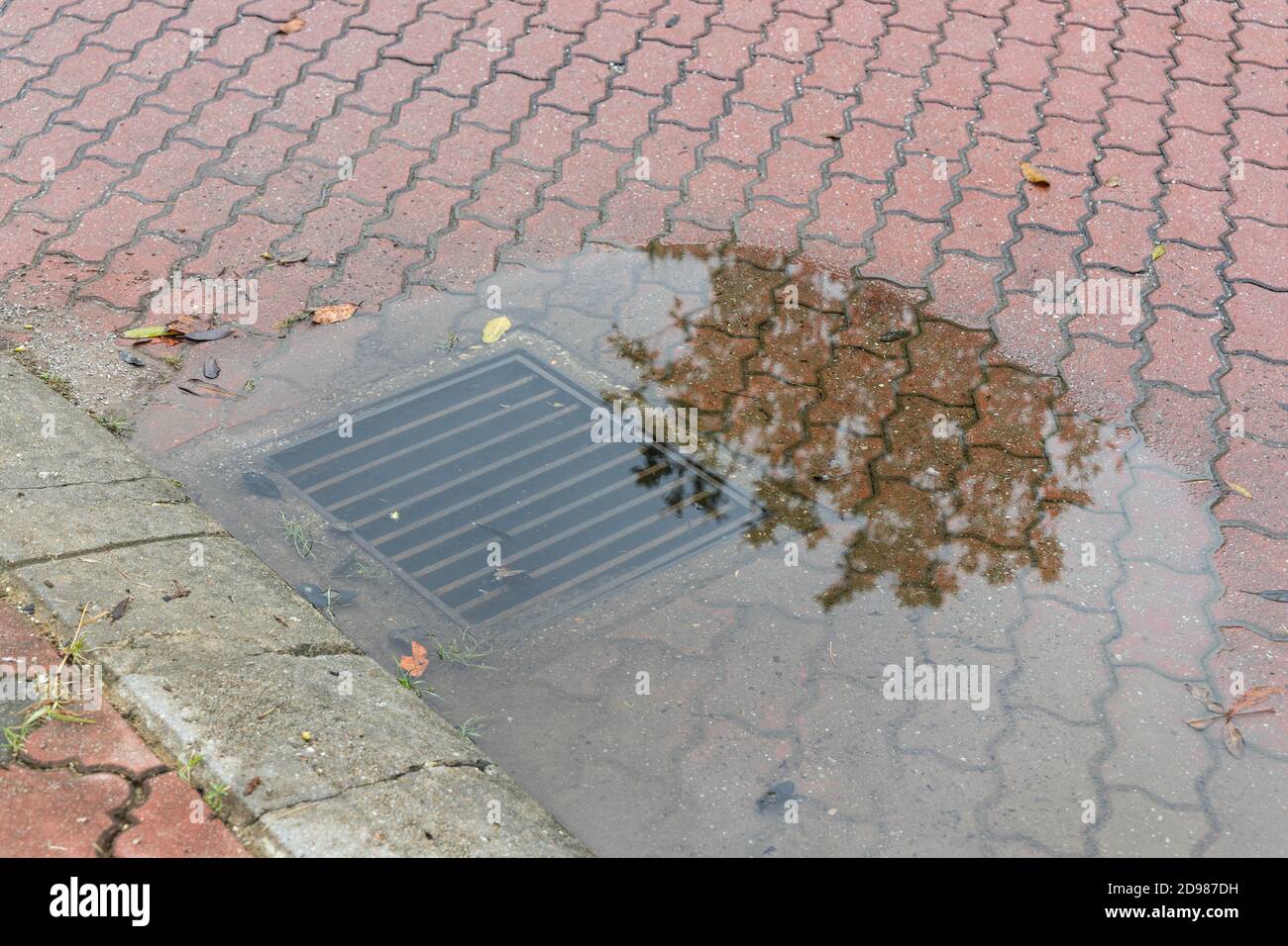 Storm drain clogged hi-res stock photography and images - Alamy