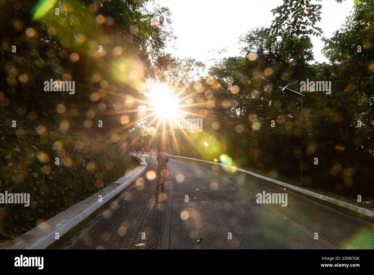 People walking in park with morning sun shine lens flare Stock Photo ...