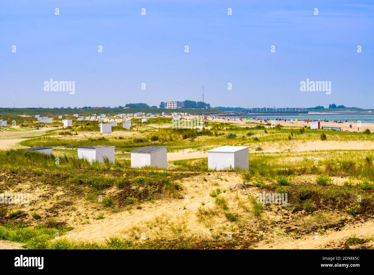 Beautiful dutch sand dunes of Breskens with cottages and view on the ...