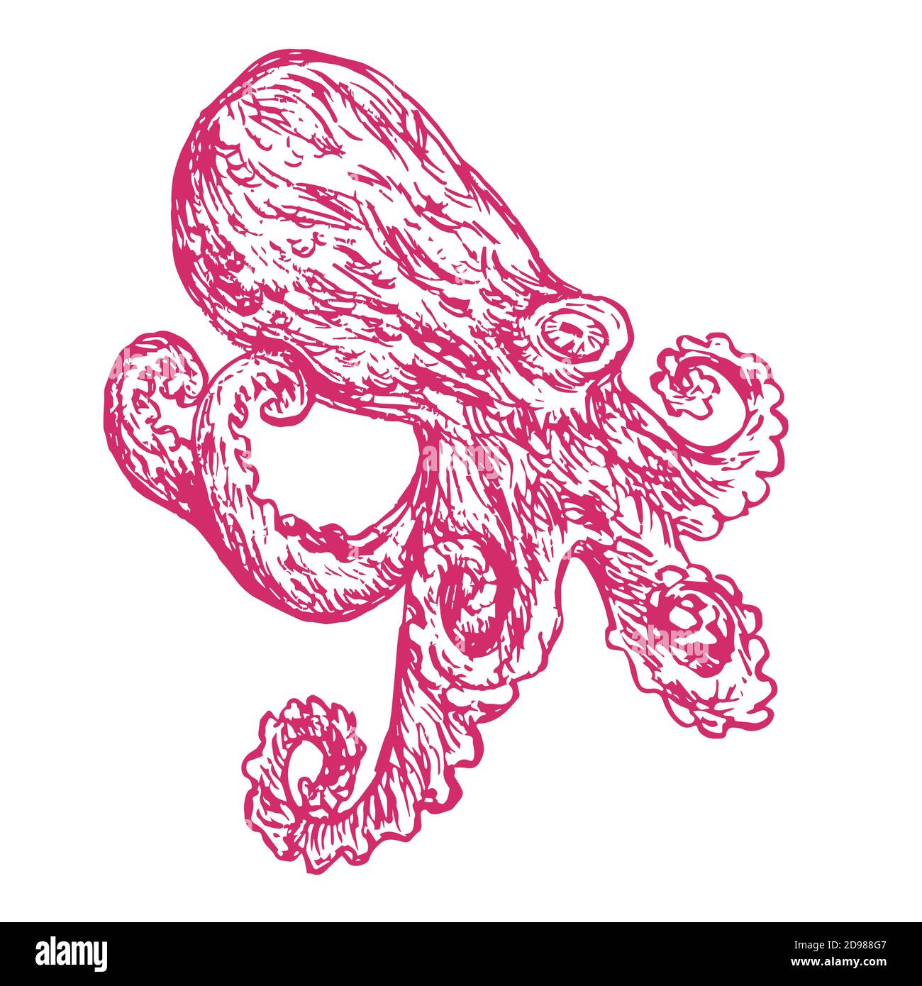 Red octopus isolated, hand drawn doodle sketch in woodcut style ...