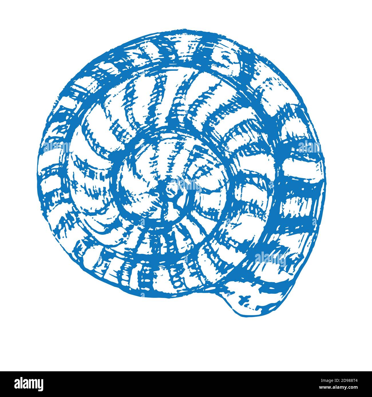 Seashell isolated, hand drawn doodle sketch in woodcut style ...