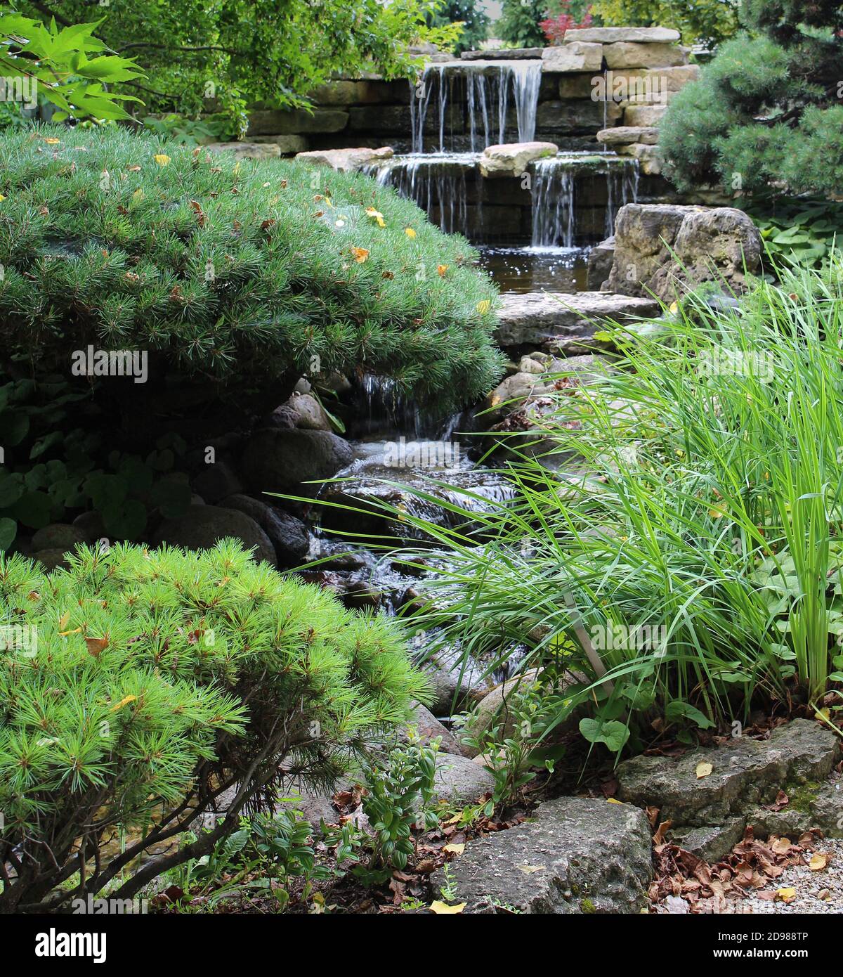 Japanese Bridge Pond W Waterfall