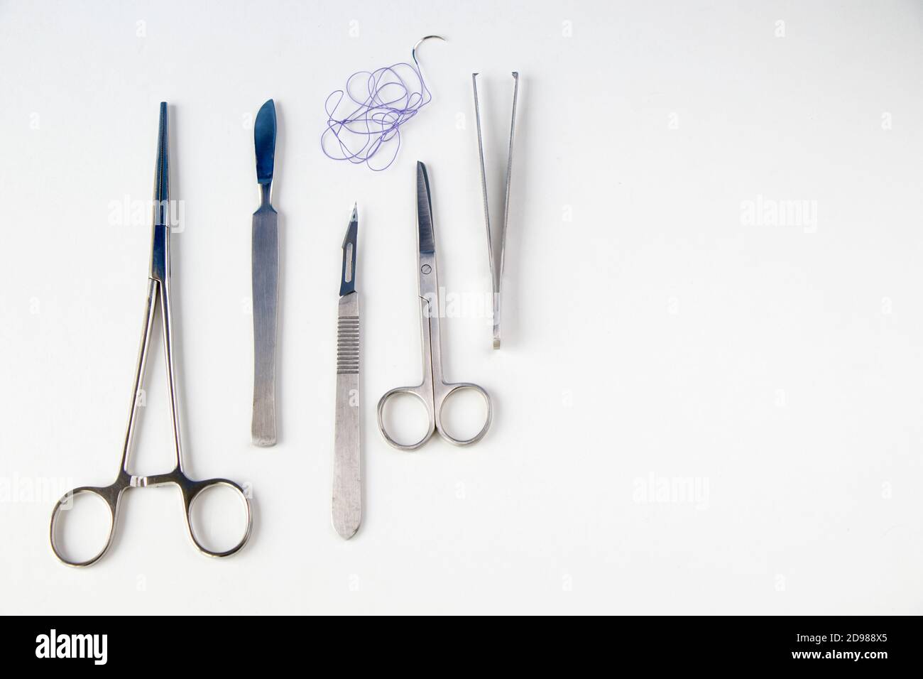 Dissection Kit - Stainless Steel Tools for Medical Students of Anatomy ...