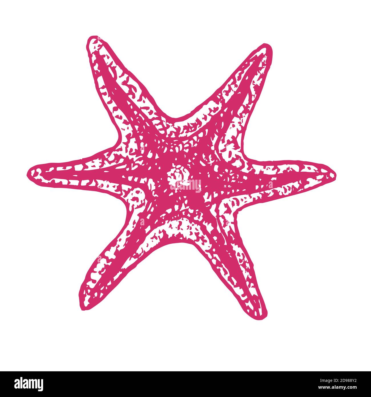 Sea star isolated, hand drawn doodle sketch in woodcut style ...