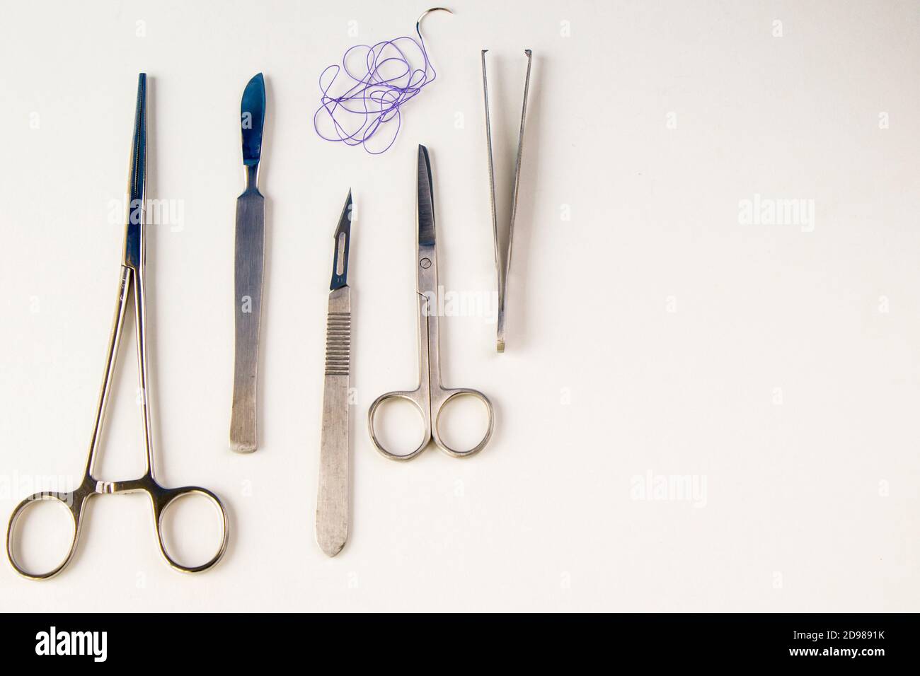 Dissection Kit - Stainless Steel Tools for Medical Students of Anatomy ...