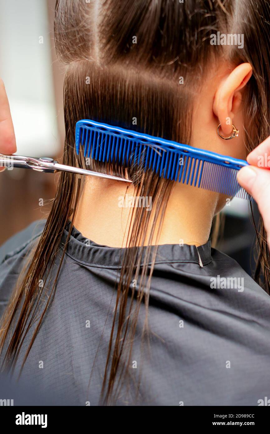 Back view of hands of male hairdresser cuts off long hair of young ...