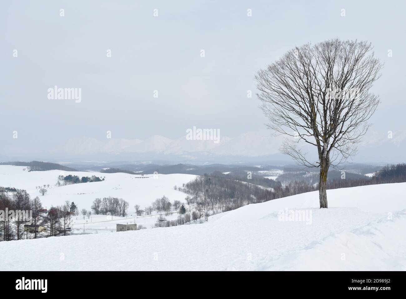 landscape of snow field on mountain in Hokkaido Japan Stock Photo - Alamy