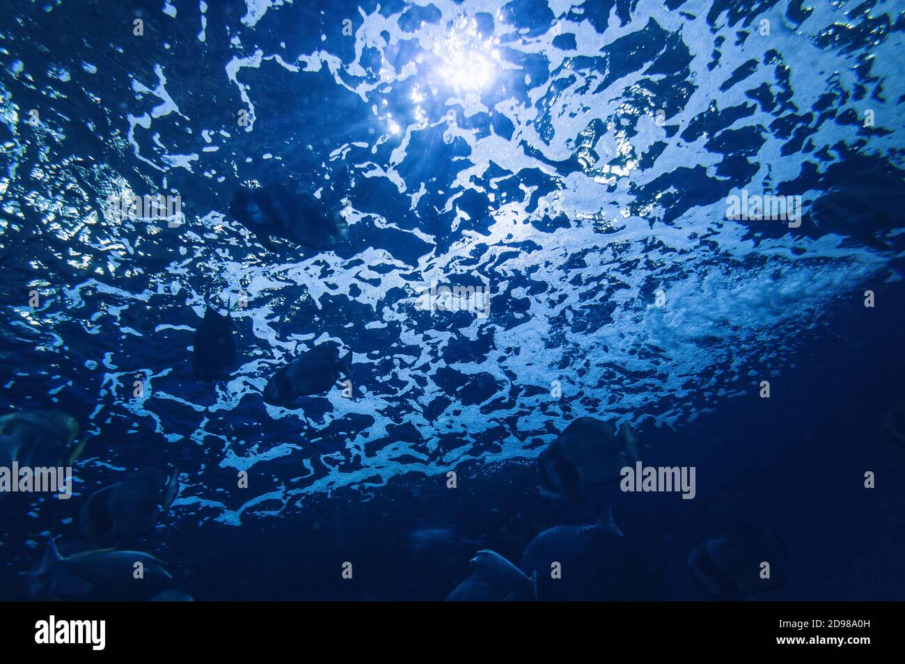 abstarct view of water surface with spume and light coming through it ...