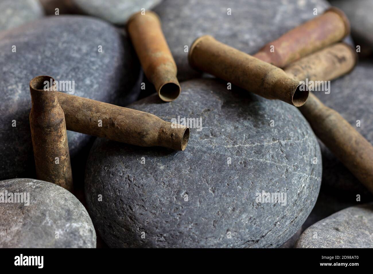 Excavated spent cartridges from the Mosin rifle of the First World War ...