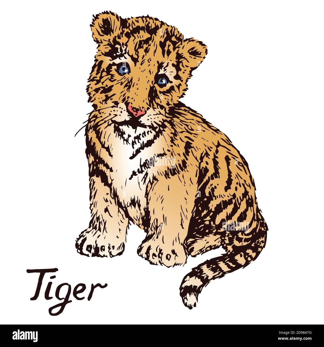 Pop Out Drawings Of Tigers