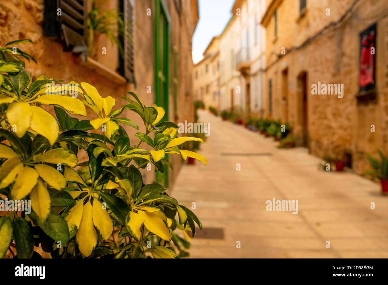 empty street in alcudia, a traditional old spanish town with historical ...