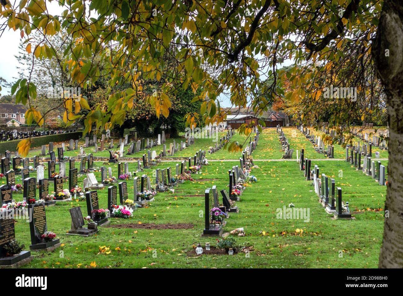 Wide angle photograph looking down at rows of headstone in a cemetery ...