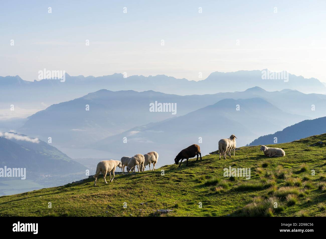 Agriculture austria pasture hi-res stock photography and images - Alamy