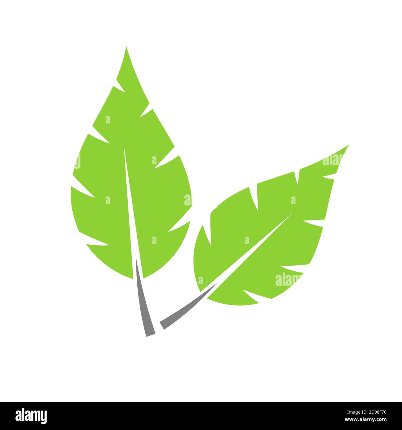 Two green leaves. Vector illustration Stock Vector Image & Art - Alamy