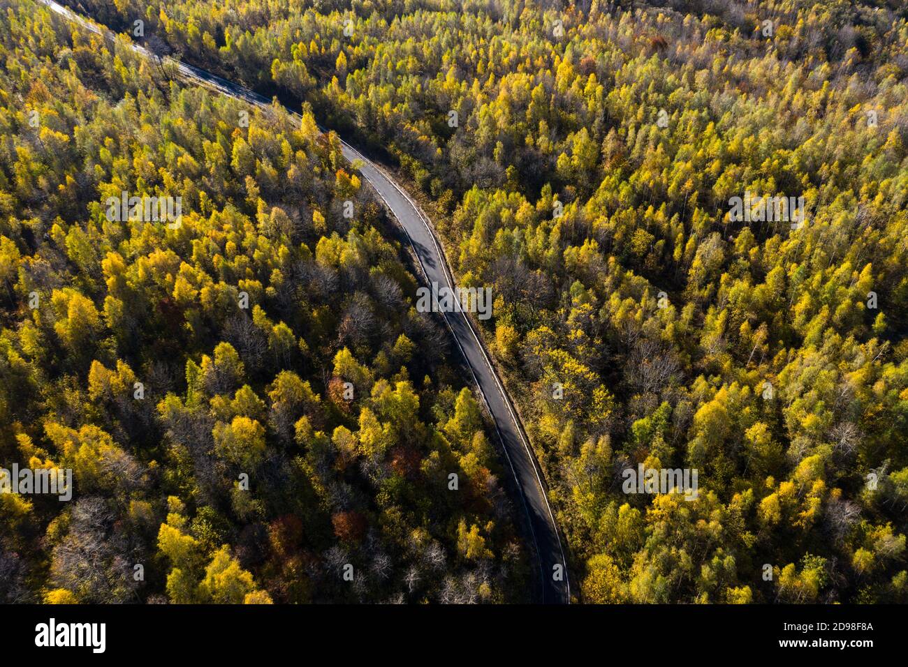 Aerial above view of epic colorful autumn forest winding road, serpentine, drone point of view ...