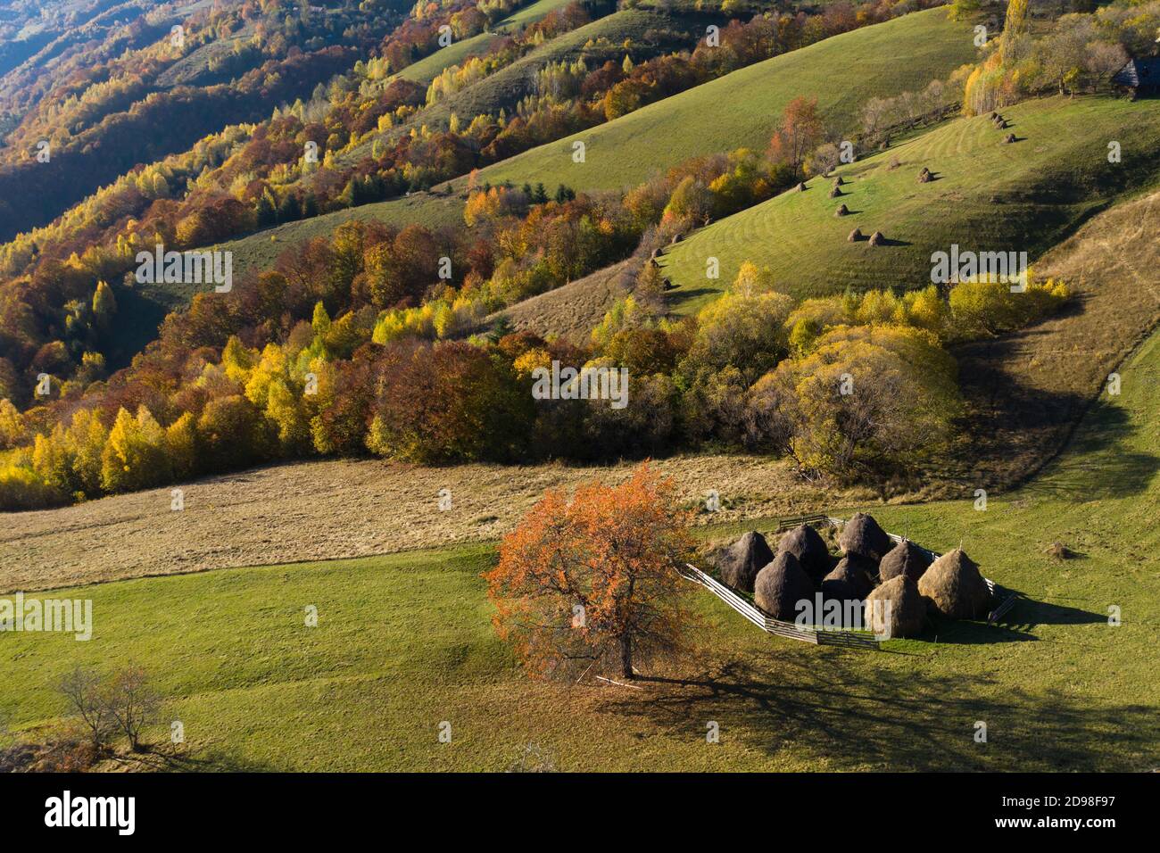 Seasonal autumn rural countryside panorama from above, aerial drone ...