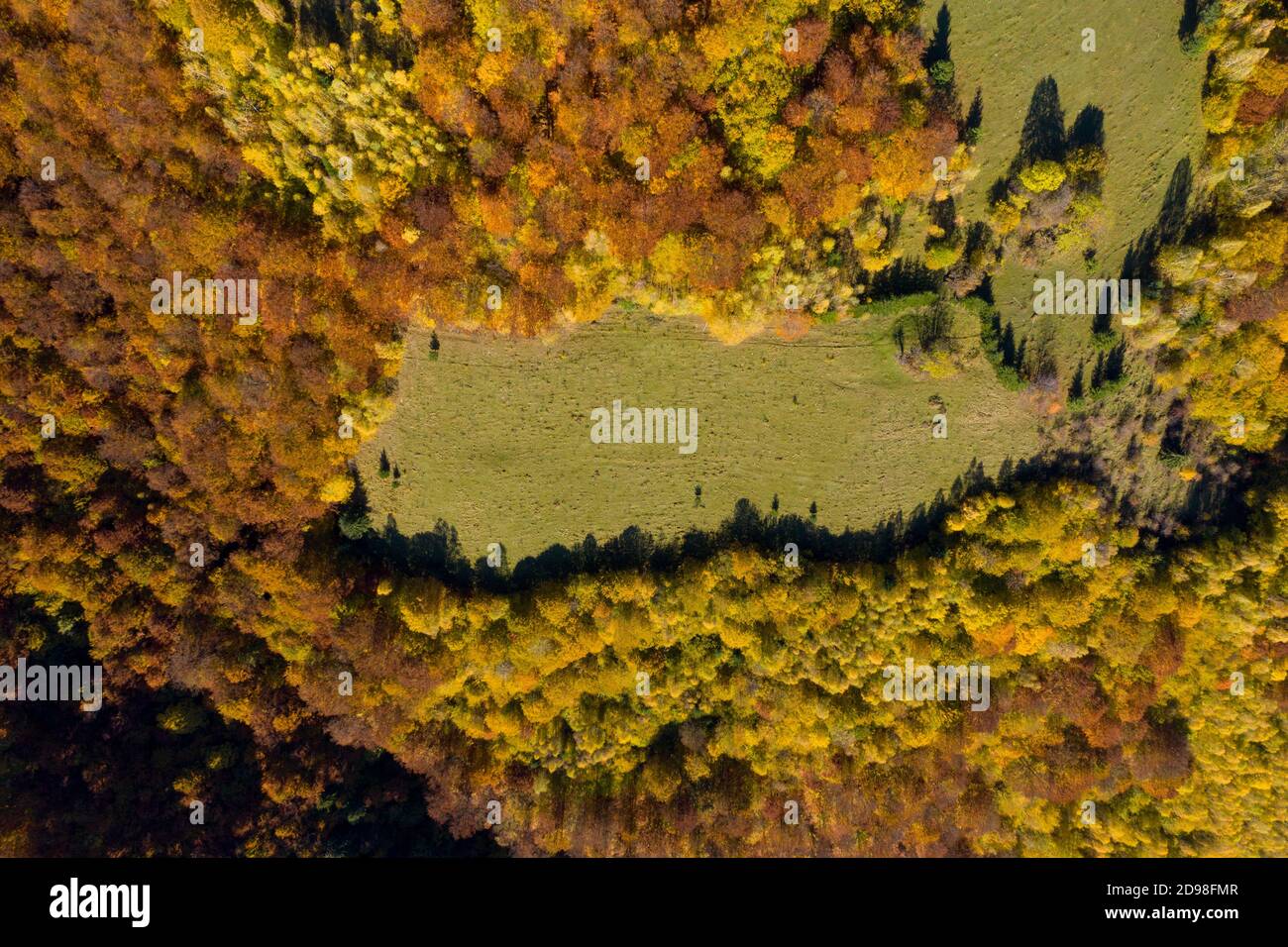Opening in forest aerial hi-res stock photography and images - Alamy