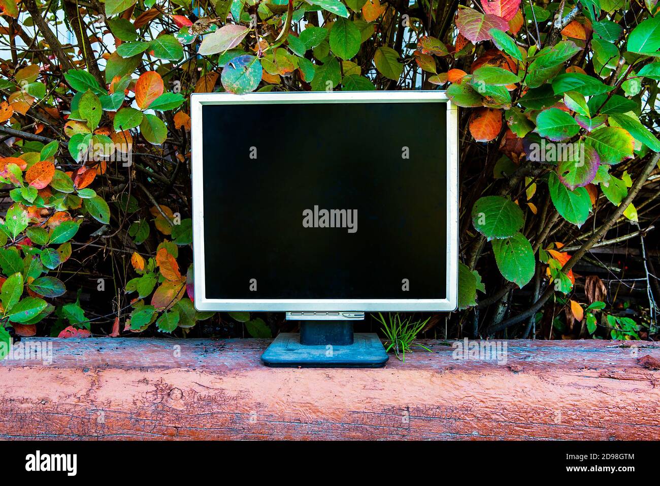 Old Computer Monitor on the Leaves Background Stock Photo - Alamy